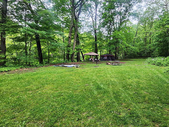 Camping here means trading your doorbell for birdsong and your alarm clock for sunshine.