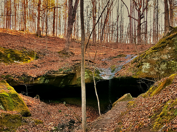 Mother Nature's basement renovation project. This cave formation reminds us of the ancient geological forces that shaped Ohio.