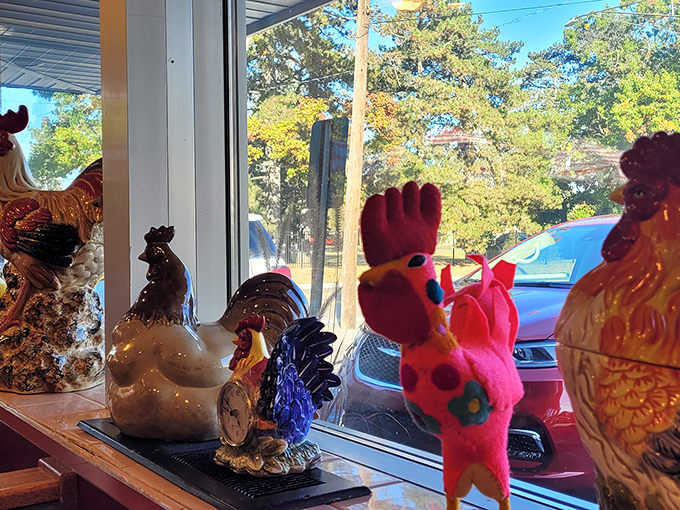 The rooster collection lining the windowsill isn't just decoration—it's the Early Bird's unofficial welcoming committee, standing guard over your breakfast experience.