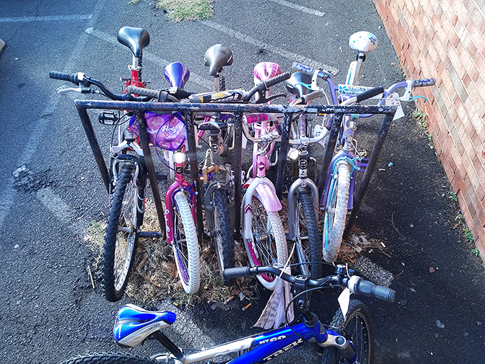 A fleet of pint-sized wheels awaits new adventures. These bikes have stories to tell and miles yet to travel with their next owners.