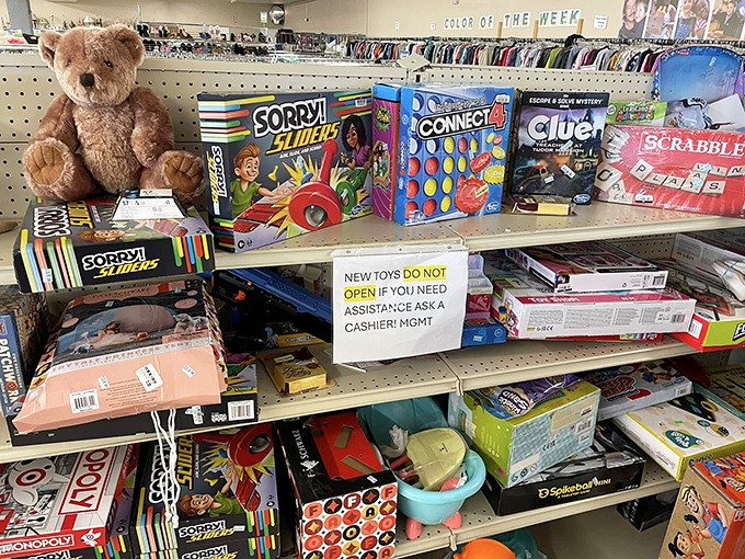Board game bonanza for budget-conscious families. That teddy bear has seen things, but he's not telling – the ultimate thrift store confidant.