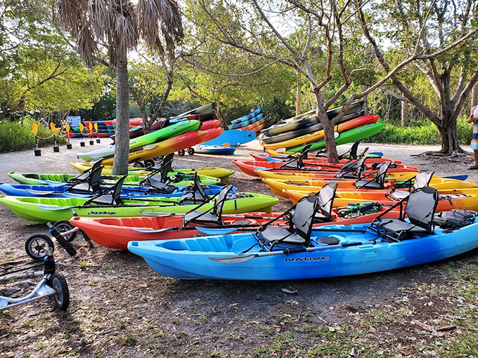An armada of adventure vessels, each one a ticket to Florida's most stunning secret.