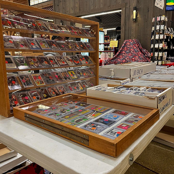 Comic book heaven where childhood heroes await rescue by nostalgic collectors. Superman still saves the day, just at a slightly higher price point.