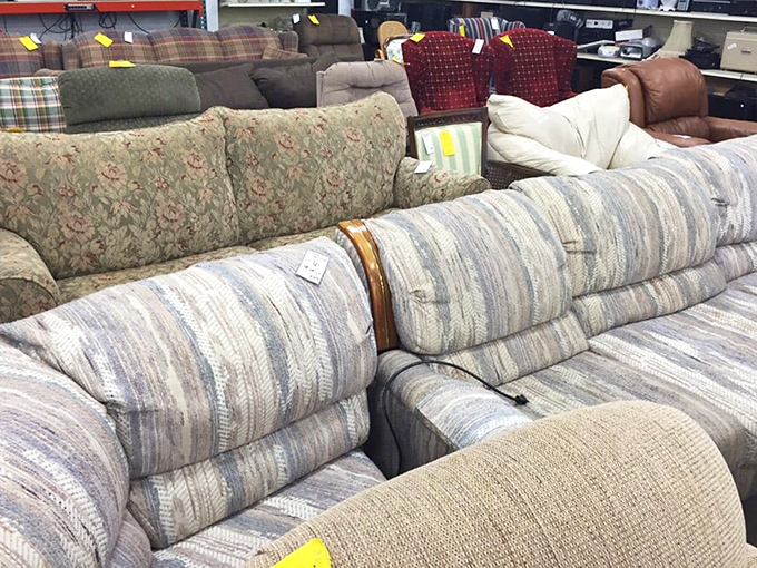 The couch collection: where someone else's "no longer sparks joy" becomes your living room's new best friend. Floral patterns compete with stripes for your attention.