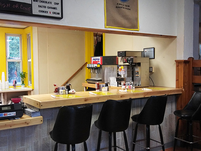 Counter seating: where solo diners become temporary neighbors and the soda fountain hums its familiar tune of carbonated promises.