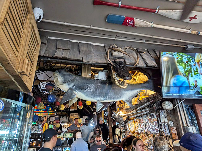 Every surface tells an oceanic story, creating an immersive experience that transports you to maritime heaven instantly.