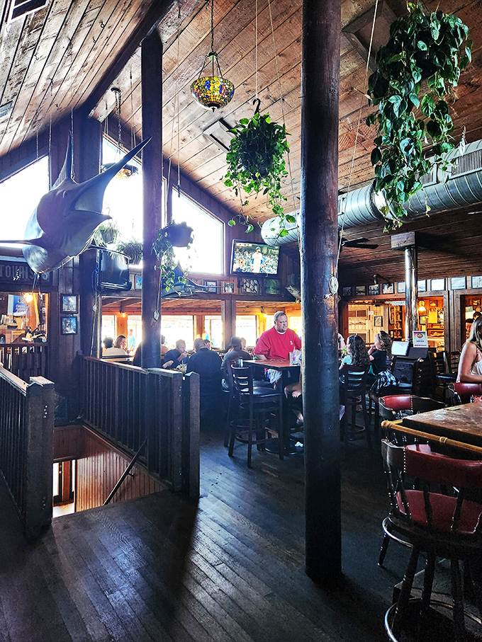 High ceilings, hanging plants, and a marlin watching over diners &ndash; it's like eating in the living room of your coolest seafood-loving friend.