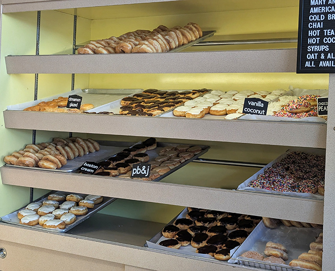 The donut display case serves as both menu and museum, showcasing edible art that disappears way too quickly.