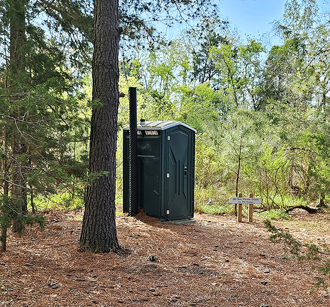 The humble forest throne – where even in nature's cathedral, certain human necessities remain refreshingly practical and mercifully private.