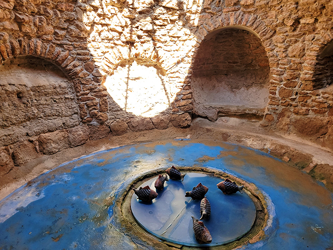 An underground aquarium? Yes, please! Fish sculptures float in this circular pool, demonstrating how even aquatic elements found their place in this subterranean vision.
