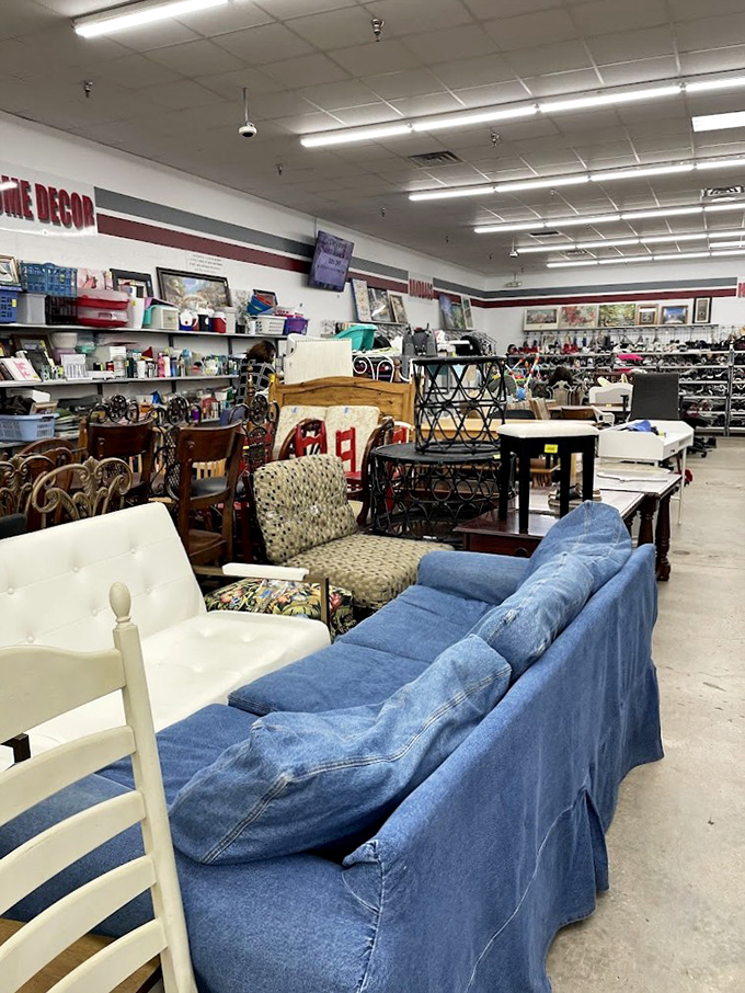 Living room auditions, where sofas and chairs compete for your attention. That denim couch has stories to tell &ndash; hopefully none involving red wine spills.