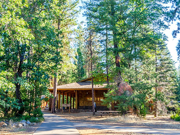 The general store stocks everything needed for your mountain adventure, minus the city prices.