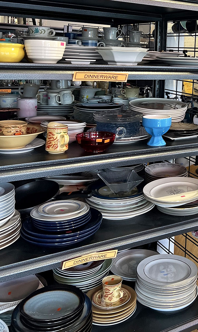 Dinnerware heaven! One person's castoff becomes another's conversation piece. That blue egg cup is calling my name!