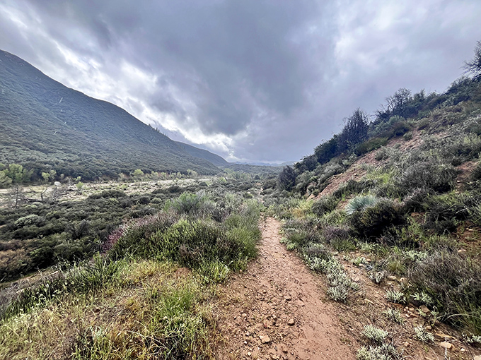 The trail stretches ahead like nature's welcome mat, winding through chaparral and wildflowers beneath moody skies that promise dramatic lighting for photos.