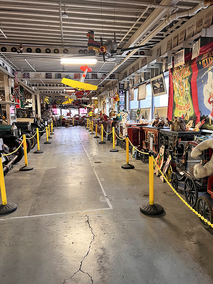 Yellow stanchions create a path through musical history. The museum's organization somehow makes perfect sense within its beautiful chaos.