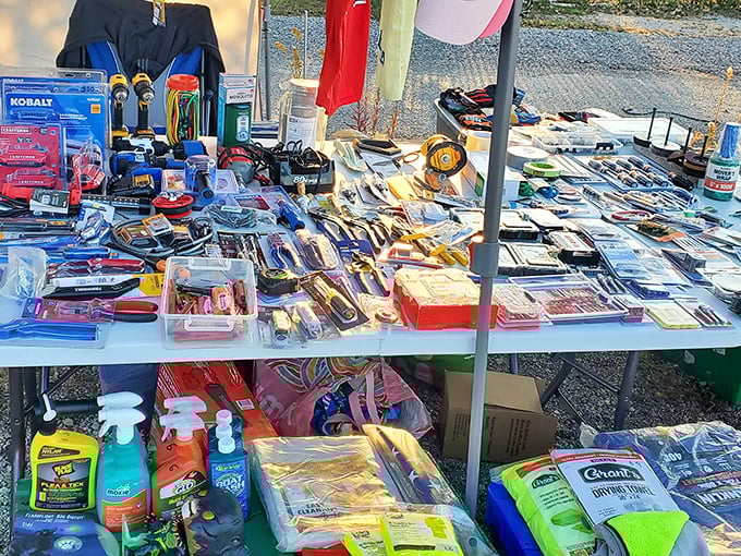 Tool heaven for DIY enthusiasts &ndash; where that specific screwdriver set you've been hunting for suddenly appears at a price that makes your wallet smile.