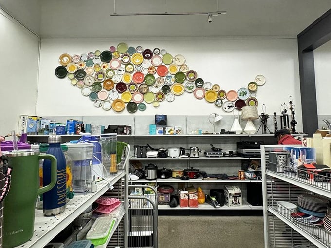 This colorful dishware display could solve your mismatched plate problem or inspire your next eclectic dinner party theme.