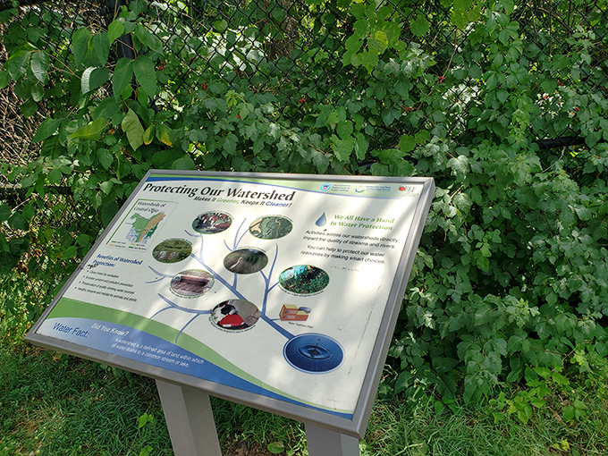 Knowledge enhances appreciation! This informational sign explains how protecting our watersheds benefits everything downstream, including your drinking water.