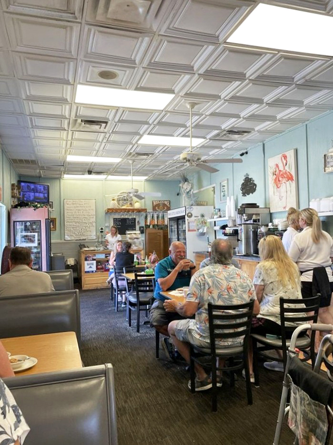 Where locals gather to solve the world's problems over coffee. The ceiling tiles have heard more stories than a bestselling novelist.