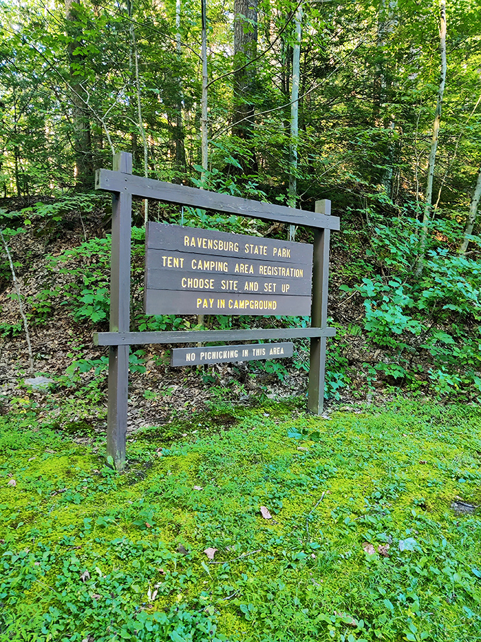 Trail signs that promise adventure in every direction. Like a real-life choose-your-own-adventure book, minus the possibility of accidentally picking the page where everyone perishes.