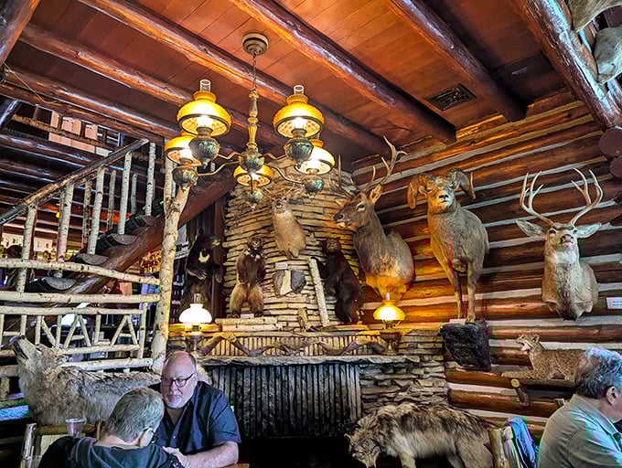 Mounted deer watch over diners like woodland sentinels, ensuring your supper club experience maintains proper Northwoods credentials.