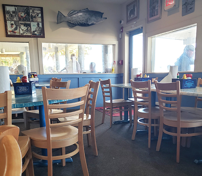Fish mounted on walls, light streaming through windows. The blue wainscoting isn't just decor&mdash;it's a reminder of the water just steps away.