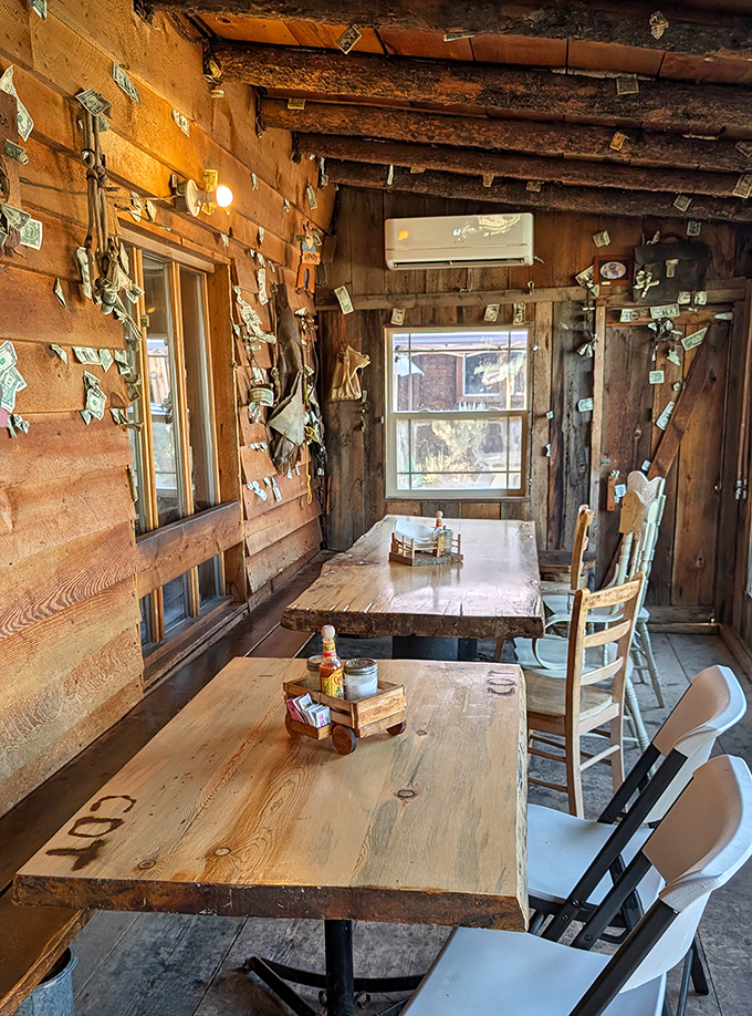 Dollar bills stapled to log walls tell stories of satisfied customers who left their mark. The air conditioning unit whispers, "Yes, we have some modern conveniences."