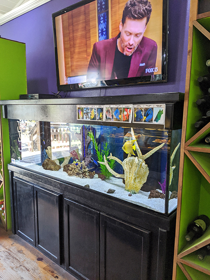 Every corner tells a story here, from the wooden beams to the carefully curated local treasures on display.