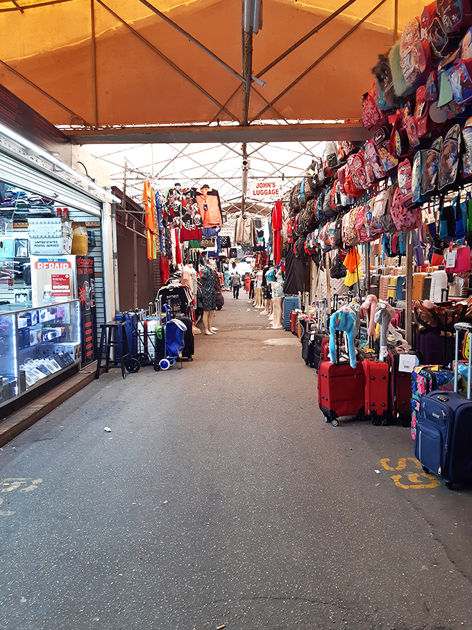 Luggage alley, where your next travel companion awaits. From practical rollers to flashy statement pieces, the journey starts here.