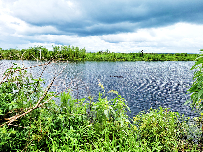 Water mirrors sky in this liquid looking glass, where clouds swim below as easily as they float above. Double the blue, double the view!