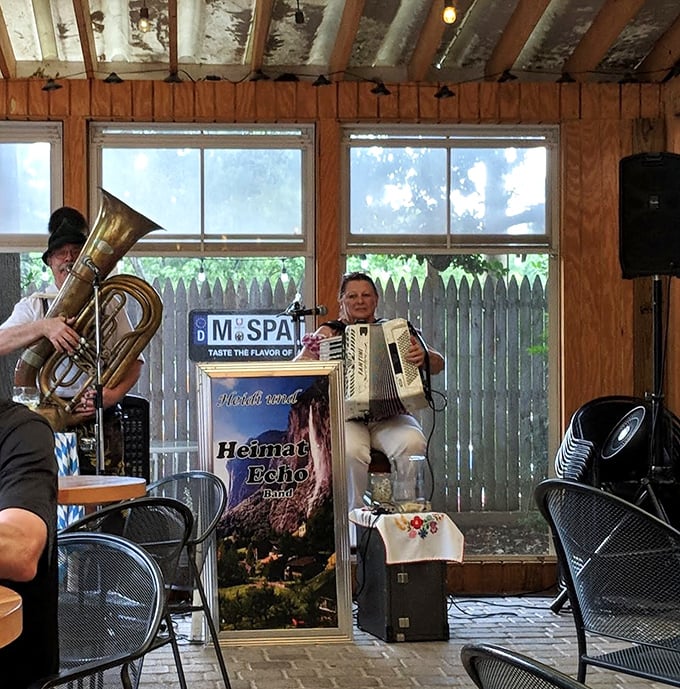 Live German folk music transforms dinner into an experience. These musicians don't just play songs—they're cultural ambassadors with accordions.