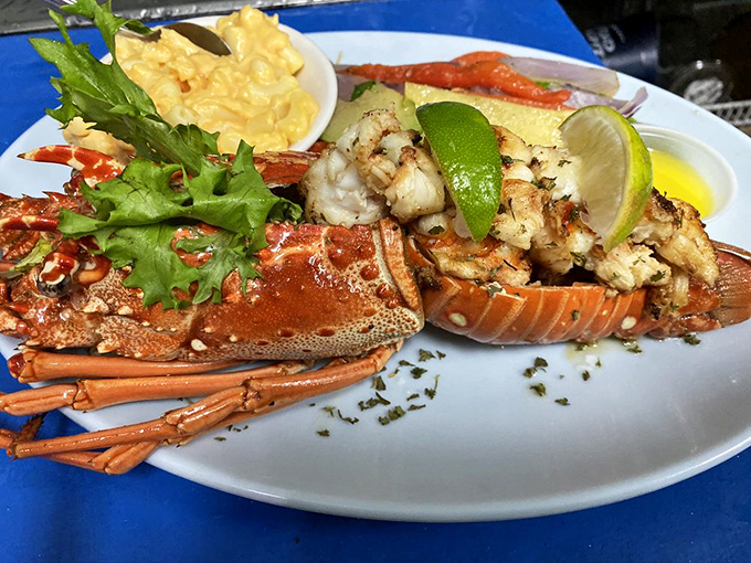 Florida lobster doesn't get fresher than this! Perfectly grilled tail meat with a squeeze of lime and side of drawn butter is Keys dining at its finest.
