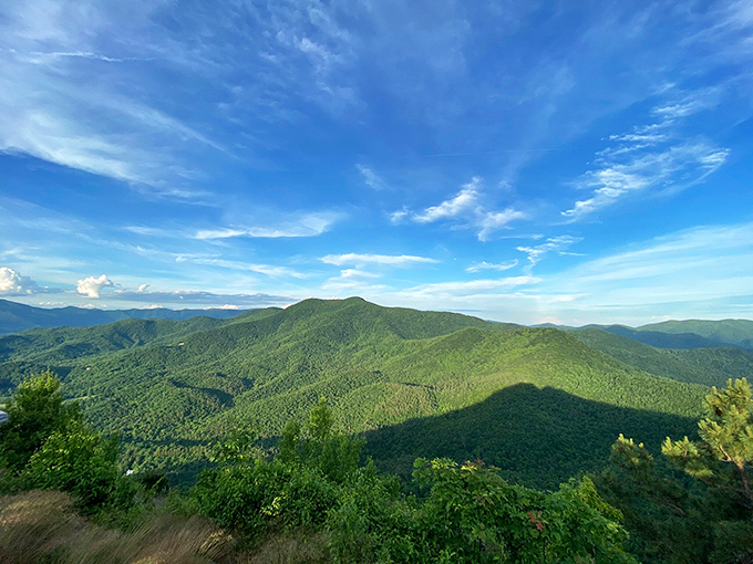 Fifty shades of green as far as the eye can see. Bell Mountain's summer views showcase the lush canopy of North Georgia's forests rolling toward the horizon like verdant waves.