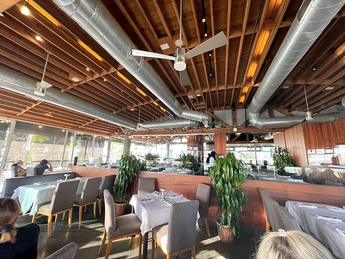 Warm wood, sleek design, and strategically placed greenery create the perfect backdrop for the real star of the show – that breathtaking ocean view.