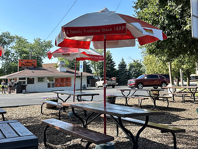 Red and white umbrellas shade picnic tables where generations have gathered to enjoy simple food done right. Some traditions deserve preservation.
