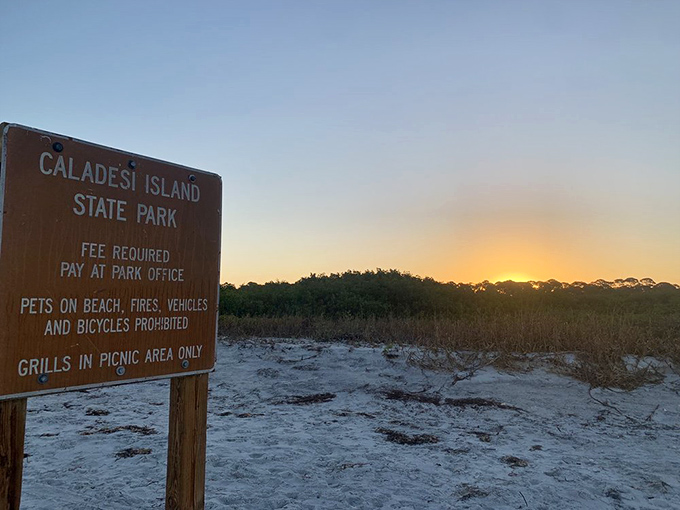 Sunset transforms even park signage into art. Golden hour at Caladesi makes everything&mdash;yes, even regulatory information&mdash;look Instagram-worthy.