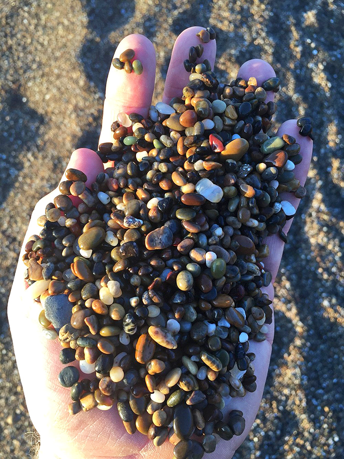 A handful of Bean Hollow's famous pebbles&mdash;nature's jewelry collection, polished to perfection by countless tides.