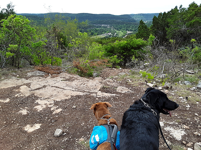 Even the four-legged hikers pause to appreciate the panoramic views that make those uphill climbs worth every pant.