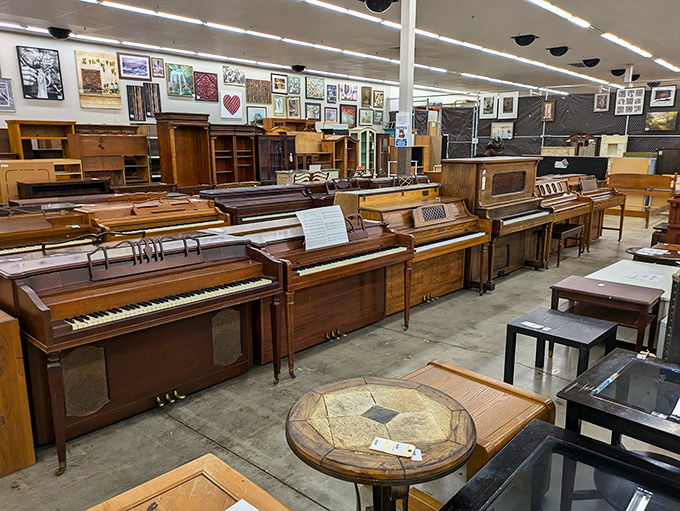 The piano section stands like a miniature concert hall, each instrument waiting silently for the right fingers to bring Chopin or Billy Joel back to life.