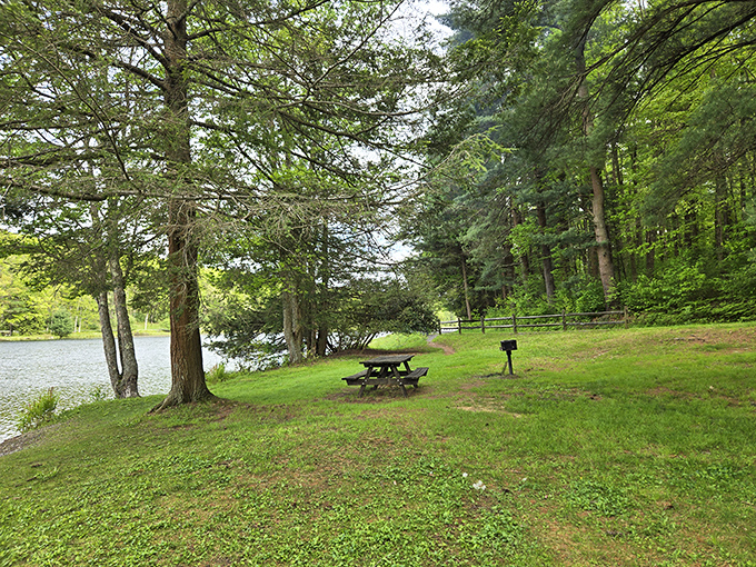 Picnic tables under towering pines&mdash;where lunch tastes better, conversations flow easier, and nobody judges you for bringing three desserts.