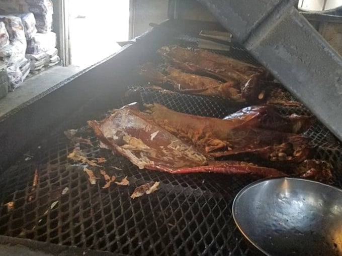 A glimpse into barbecue paradise: whole hogs smoking slowly, transforming from humble pig to transcendent Eastern NC barbecue.