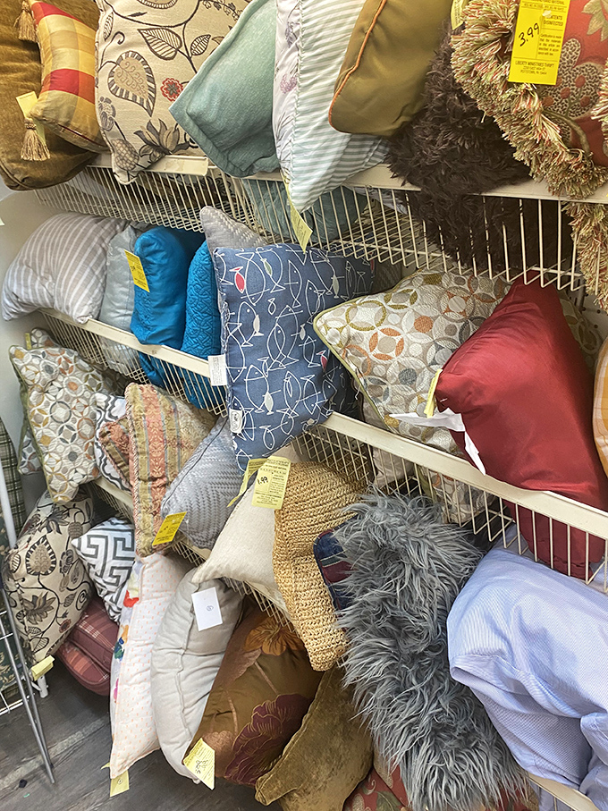 Pillow paradise: where throw pillows of every pattern imaginable wait to become that perfect accent piece or emergency guest headrest.
