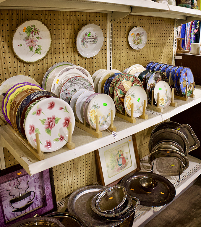 Decorative plates that once graced someone else's china cabinet now wait for your wall, each one a circular canvas of floral nostalgia.