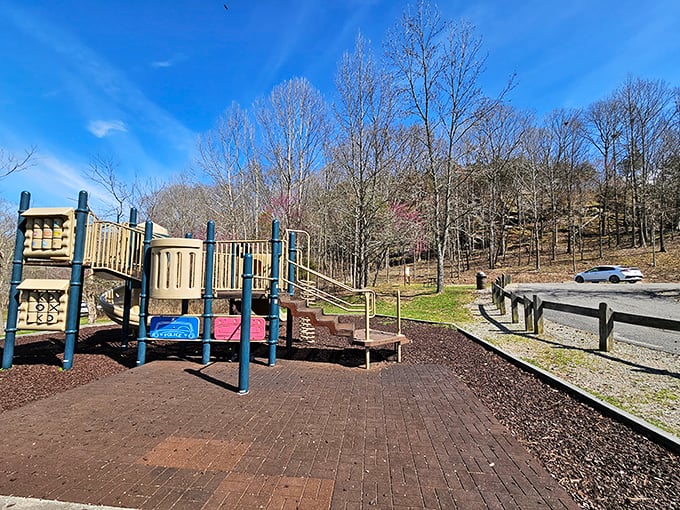 Even the playground at Ferne Clyffe is thoughtfully designed, proving that kids can have their wilderness cake and slide down it too.