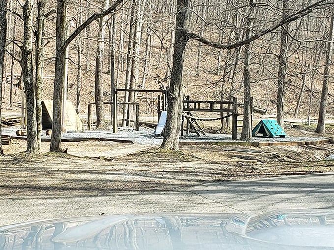 Even in winter's bare-branched simplicity, the playground stands ready for adventure. Some fun doesn't hibernate, even when the temperature drops.