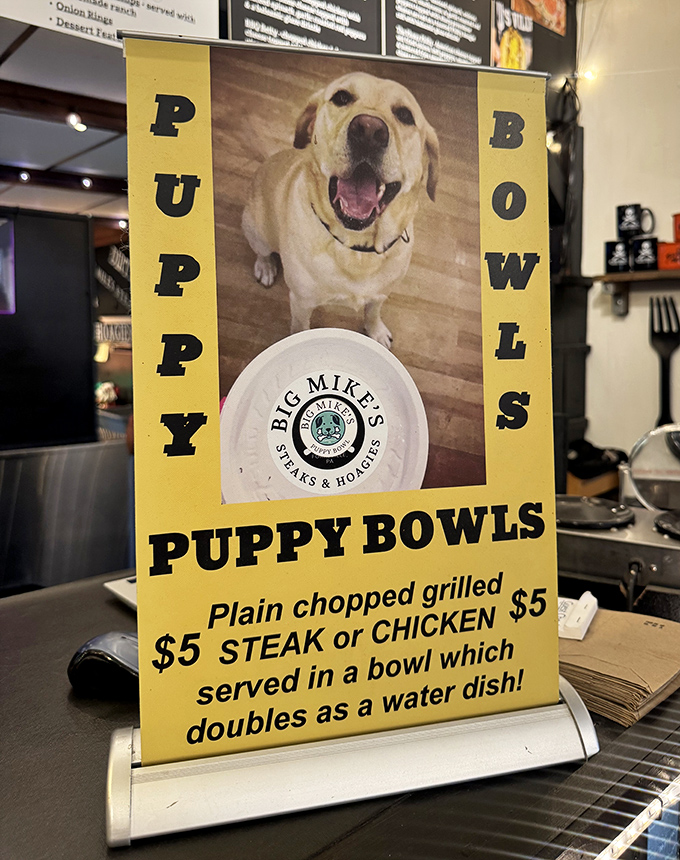 Even four-legged friends get the royal treatment at Big Mike's, where the Puppy Bowl proves that dogs deserve good food too.