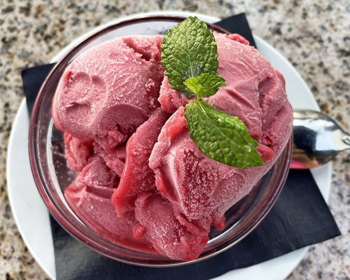 Raspberry sorbet so vibrant it looks Photoshopped, with mint leaves standing guard against mundane dessert experiences.