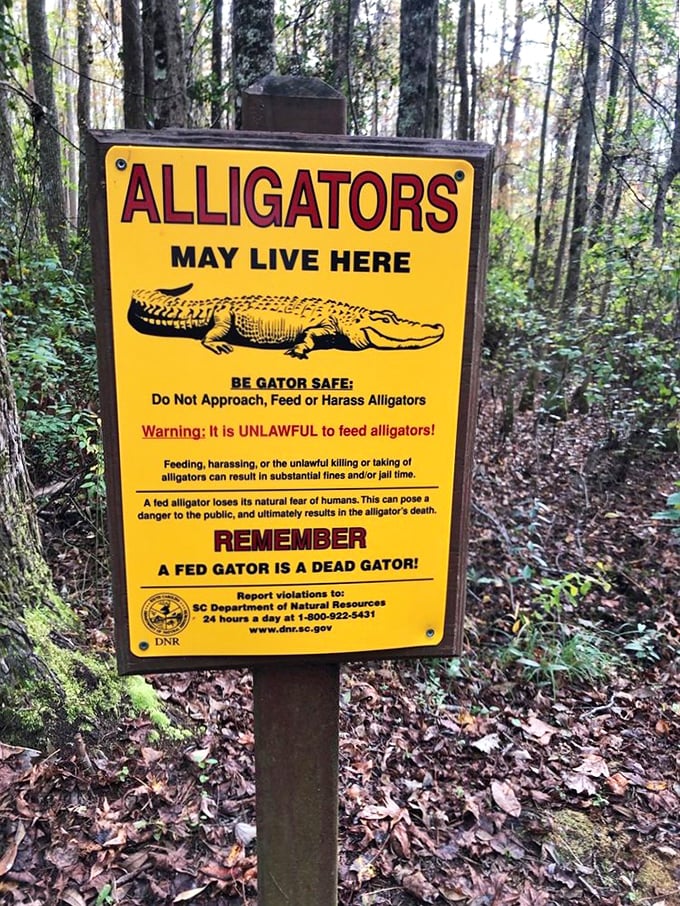 Fair warning: these waters have teeth! This sign reminds visitors that we're guests in the alligators' living room.