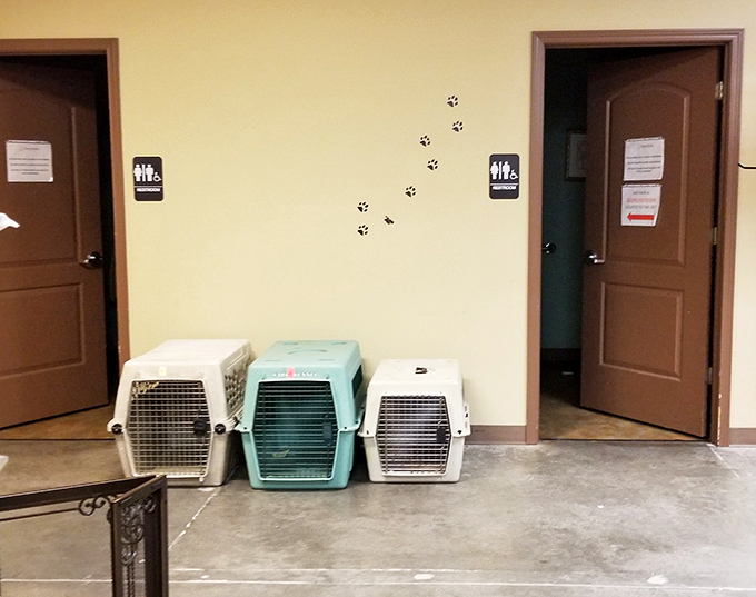 Even the pet carriers stand ready for adoption. The paw prints on the wall remind shoppers of the real mission behind every purchase.