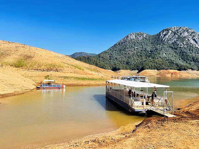 All aboard the cave express! These sturdy vessels have ferried countless wide-eyed visitors across Shasta Lake to underground wonders.